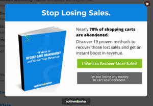 10 Best Practices for Creating High-Converting Popups | Beaver Builder